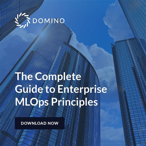 Image result for Domino Data Lab