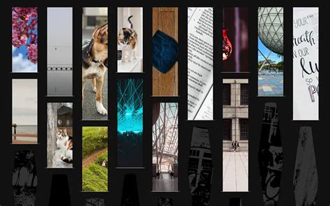 Image result for CSS Galleries