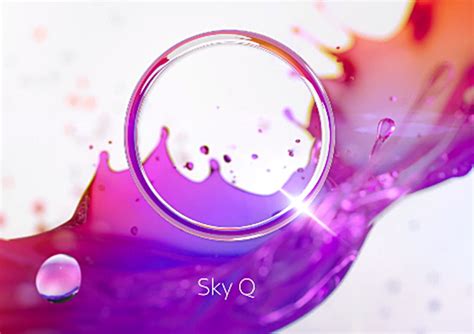 Image result for SkyQ Software Update