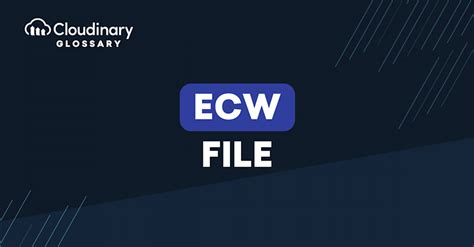 Image result for How to Use ECW