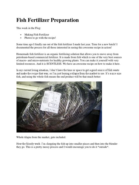 Image result for Fish Fertilizer Process