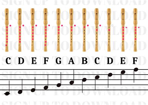 Image result for Recorder Instrument Notes