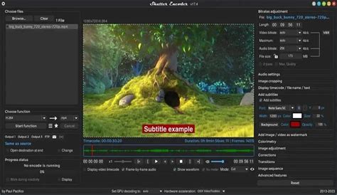 Image result for Shutter Encoder WebM With Alpha