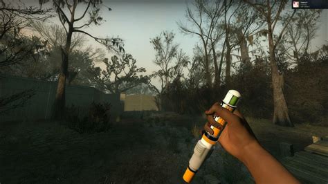 Image result for L4D2 Animation