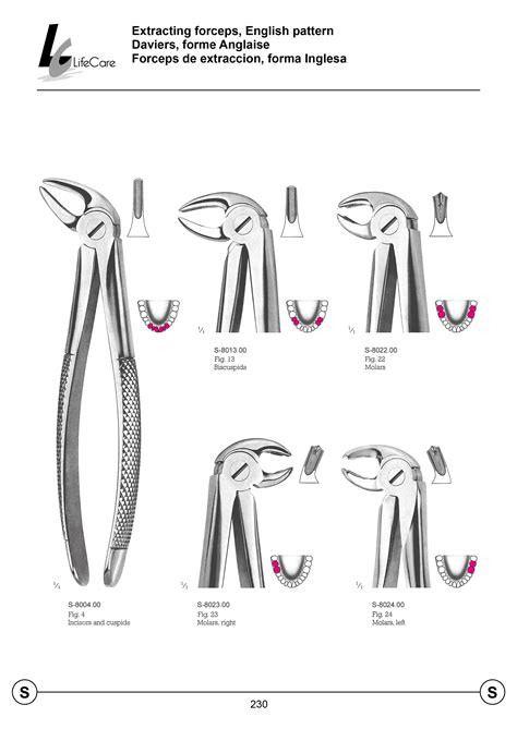 Image result for Extracting Forceps