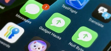 Image result for FaceTime Call iOS