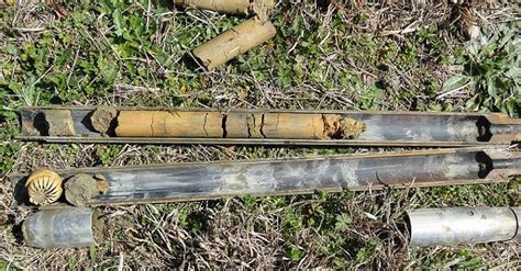 Image result for Split Spoon Sampler