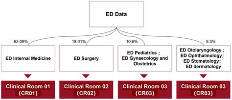 Image result for Basic Level Categorization