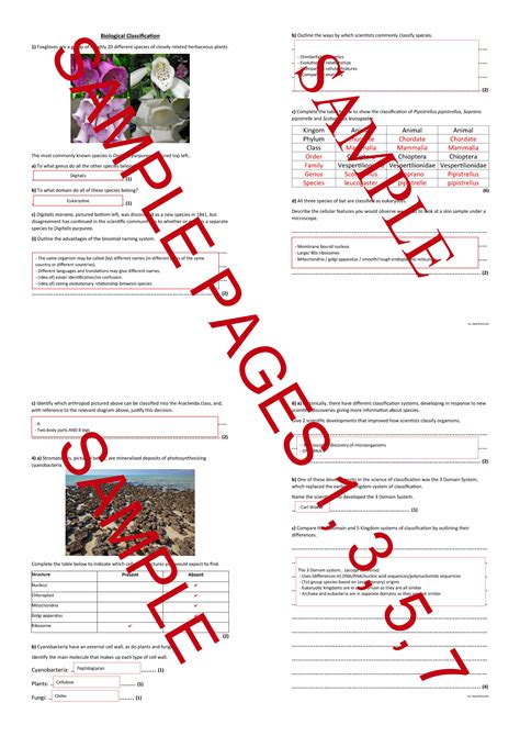 Image result for Biological Classification Emct Lesson Explanation