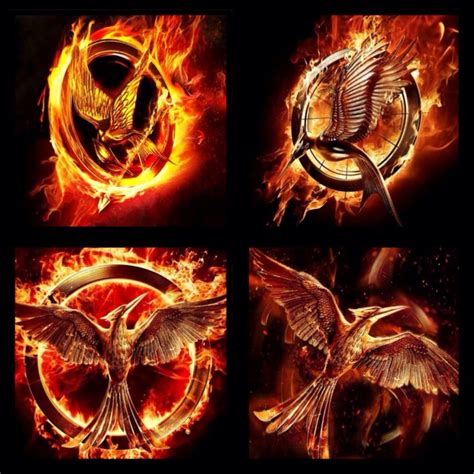 Image result for Mockingjay Pin Hunger Games Symbol