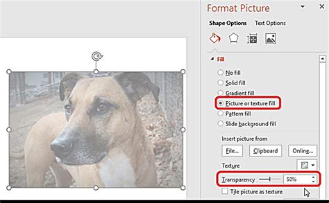Image result for PowerPoint Background Images Transparent