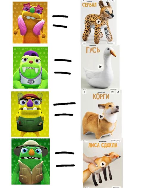 Image result for Shellz Bels Wooli