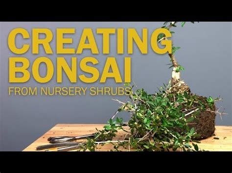 Image result for Creating Bonsia Tree