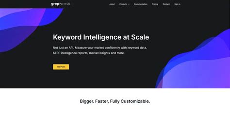 Image result for SERP API Console