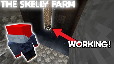 Image result for Simple Java Skelleton Farm