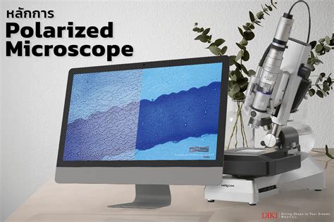 Image result for Polarized Microscope