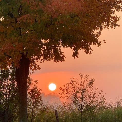 Image result for Pineland Golf Course