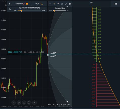 Image result for Buy Put Option Example
