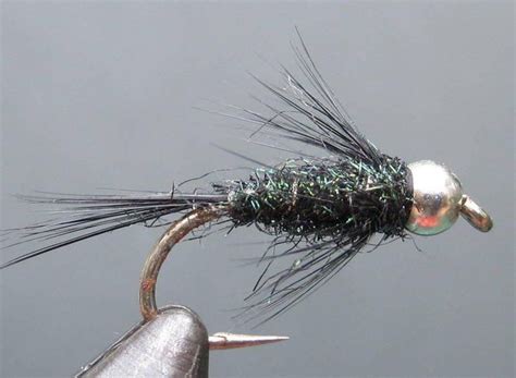 Image result for Fall Nymph Patterns