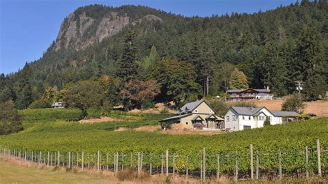 Image result for Fever Tree Salt Spring Island