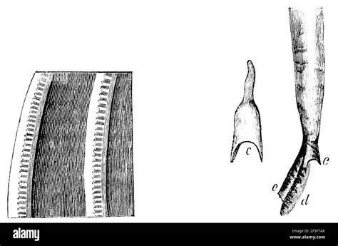 Image result for Teredo Session Example