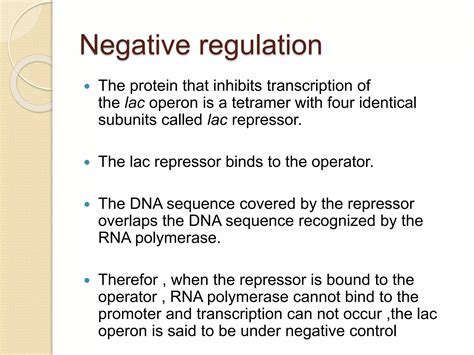 Image result for Lac Operon Positive Control