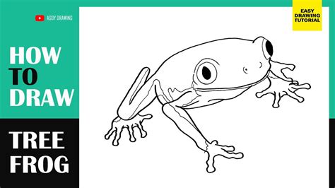 Image result for How to Draw a Tree Frog