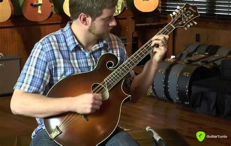 Image result for Mandolin String Types