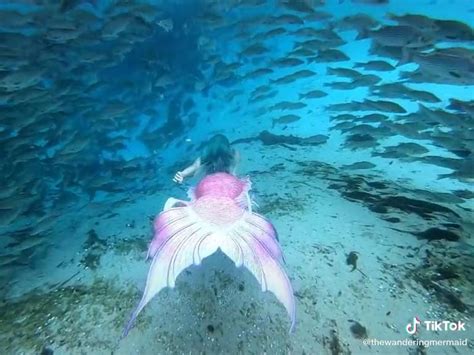 Image result for Mermaid My Tail Pool First