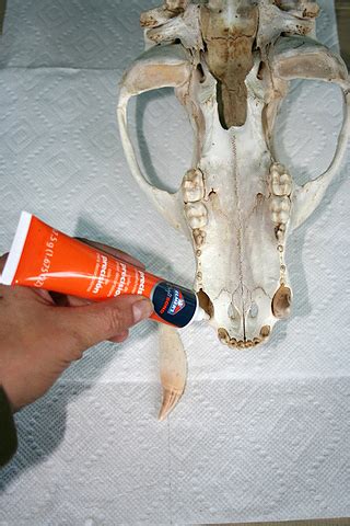 Image result for Inventer Mount