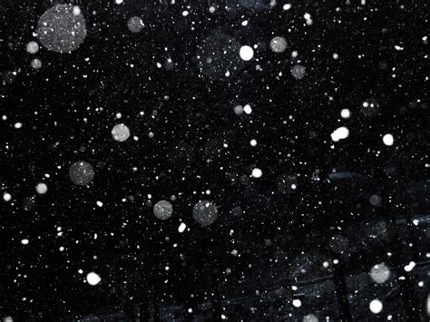 Image result for Weather Powder Bases