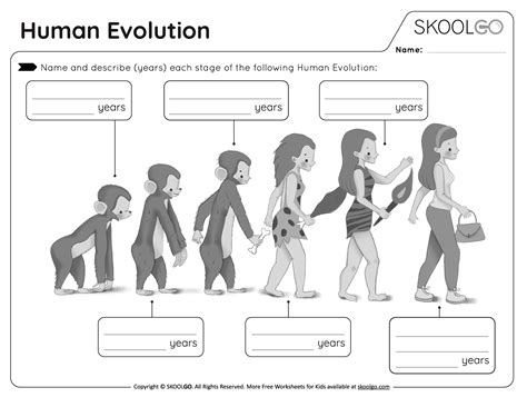 Image result for Human Evolution Worksheet