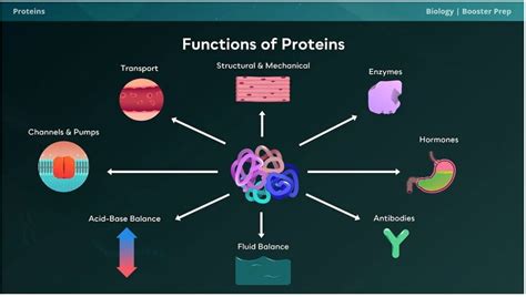 Image result for Dat Prep Course