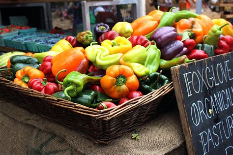 Image result for Salt Spring Island Fish Market