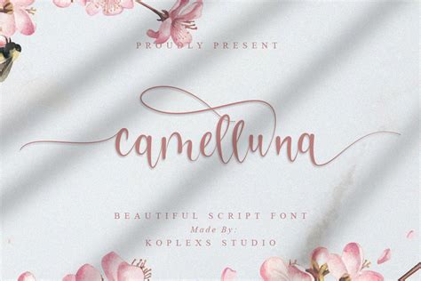 Image result for Script Font Download