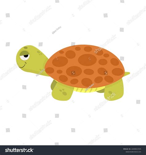 Image result for Turtle Cartoon