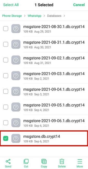 Image result for DB.crypt14