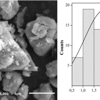 Image result for ZrO2 Morphology