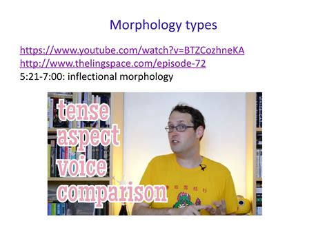 Image result for Morphological System Examples