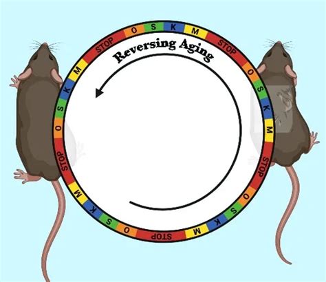 Image result for Reprogramming Aging