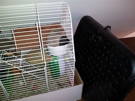 Image result for Arduino Humidity Controller