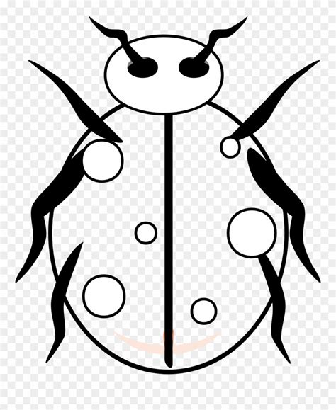 Image result for Ladybug Line Drawing