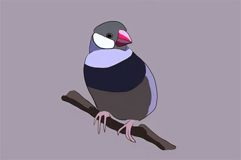 Image result for Faun Java Sparrow
