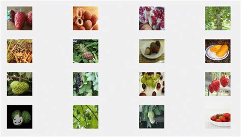 Image result for ImageNet Dataset