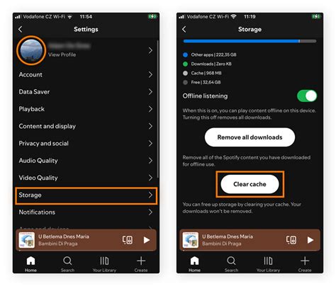 Image result for How to Clear iPhone System.Data