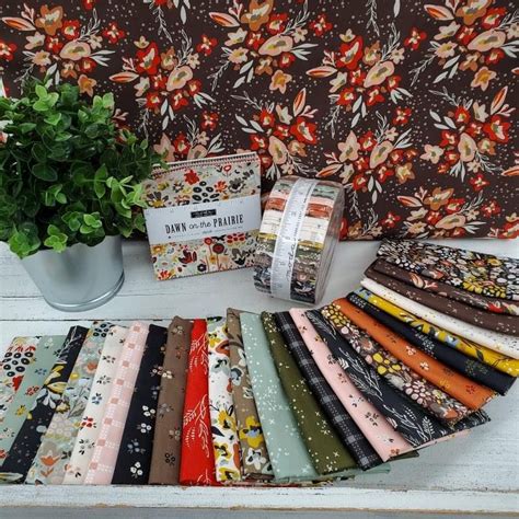 Image result for Prairie Point Junction