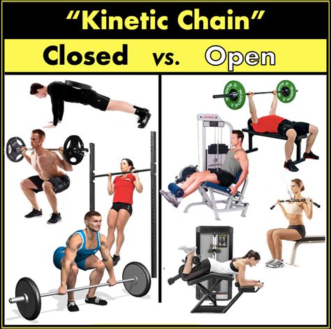 Image result for Open Chain and Closed Chain Exercise