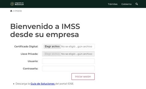 Image result for Tutorial Idse IMSS