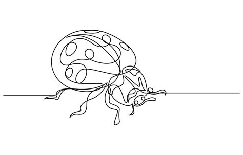 Image result for Ladybug Line Drawing