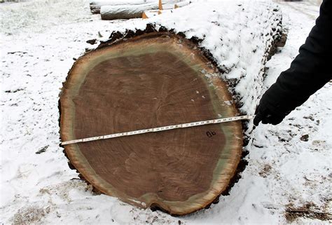 Image result for Doyle Log Rule Chart